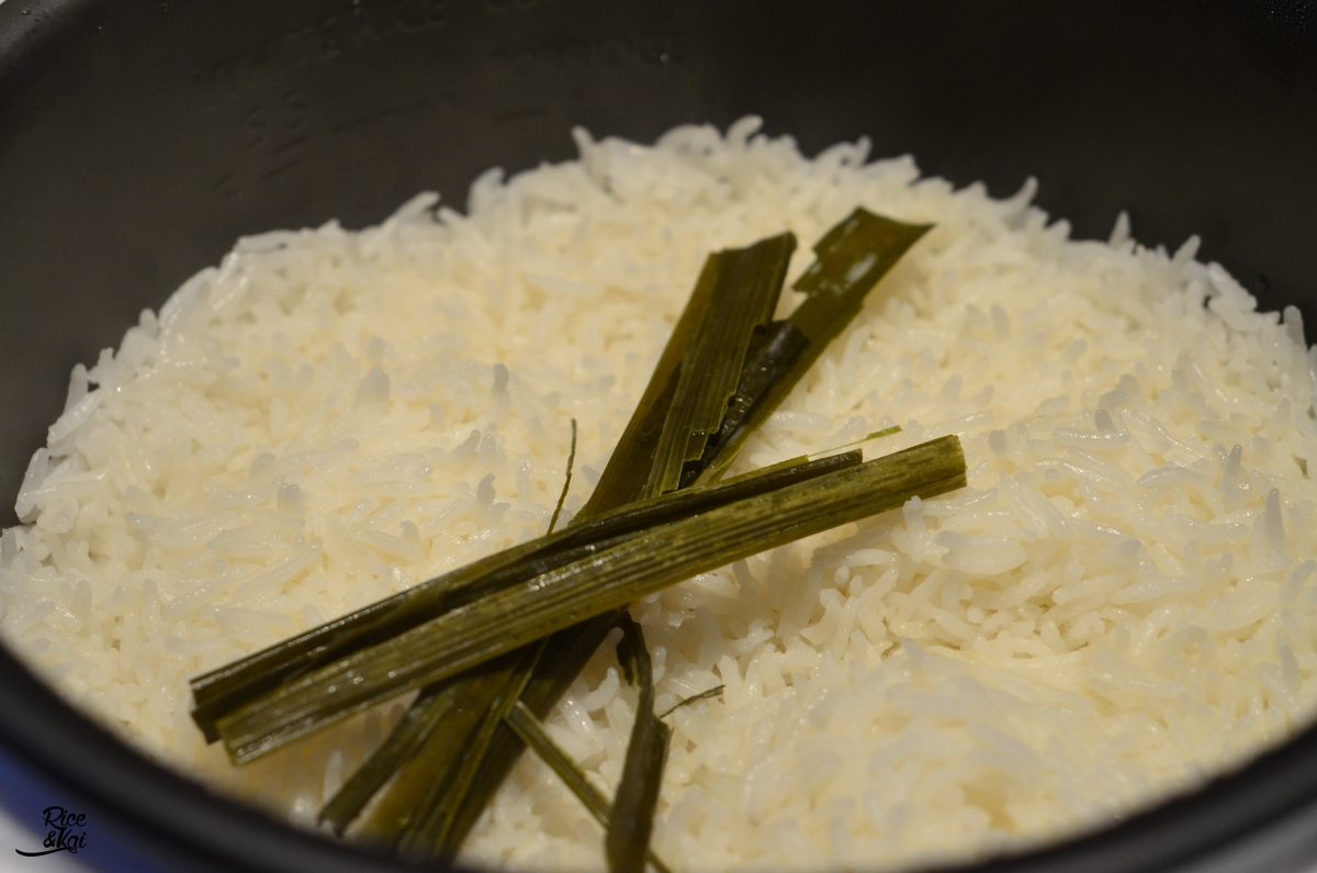 Pandan Pantry: 10 Foods to Get You into the Pandan Trend - ExpatGo