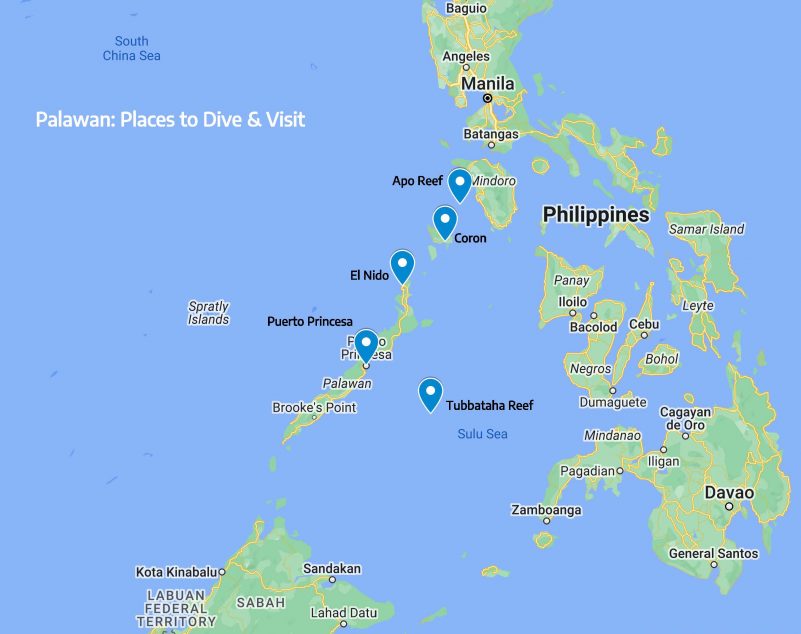 Palawan Paradise: The Gem of the Philippines - ExpatGo