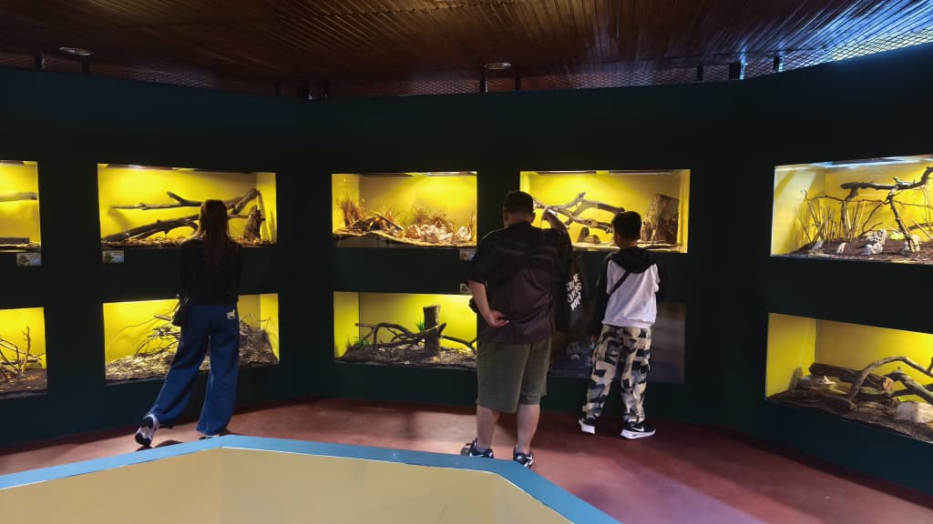 Penang Bird Park Introduces a New Reptile House - ExpatGo