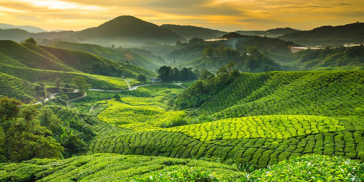 Malaysia Maintains High Global Ranking among Expats - ExpatGo